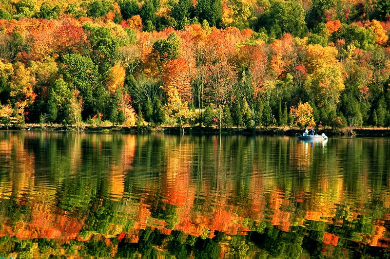 The Polohouse: Autumn Outings