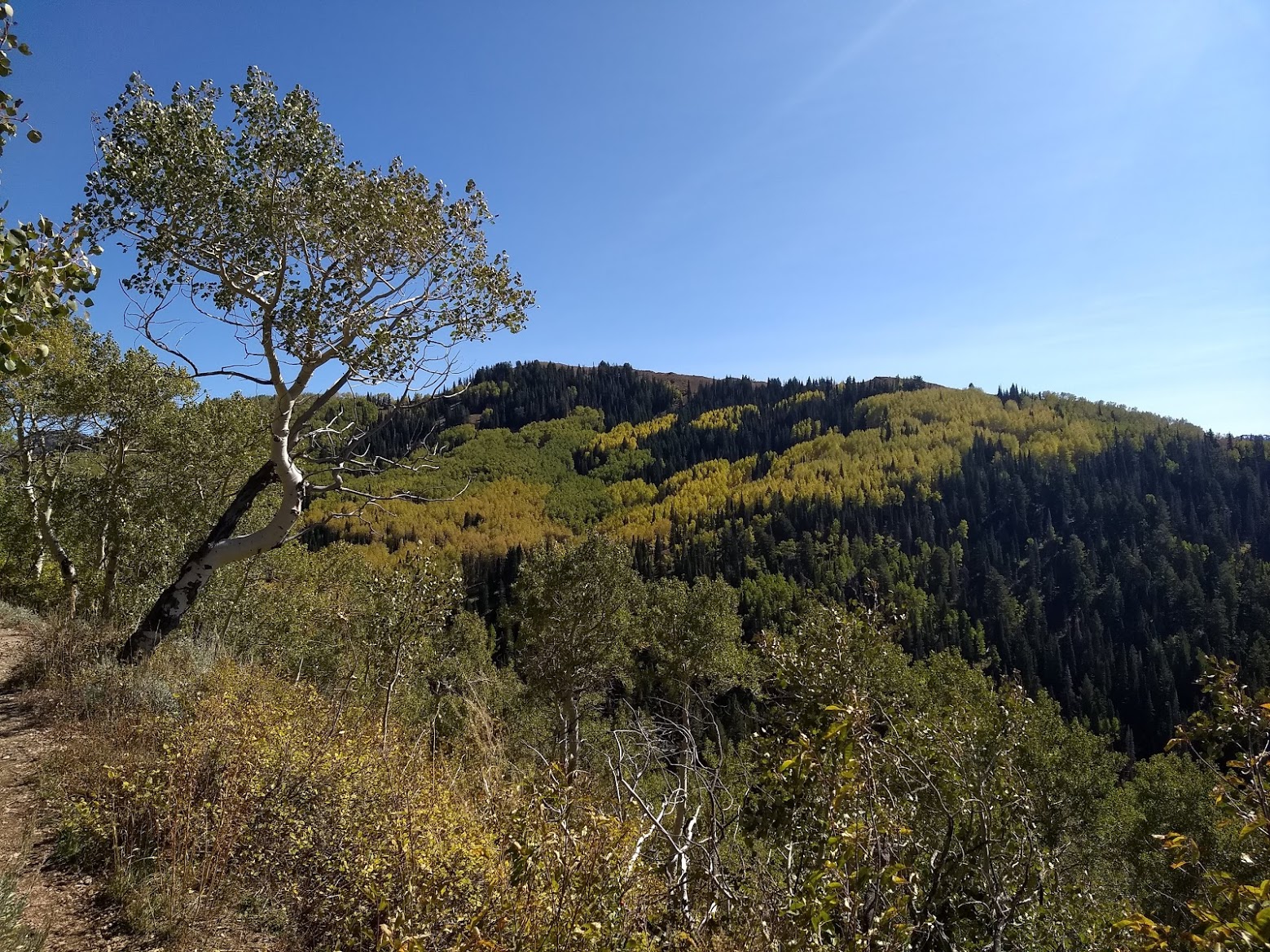 Wasatch Weather Weenies: Fall Colors