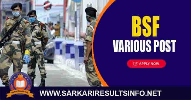 BSF Various Post Apply Online 2020 | 228 Post