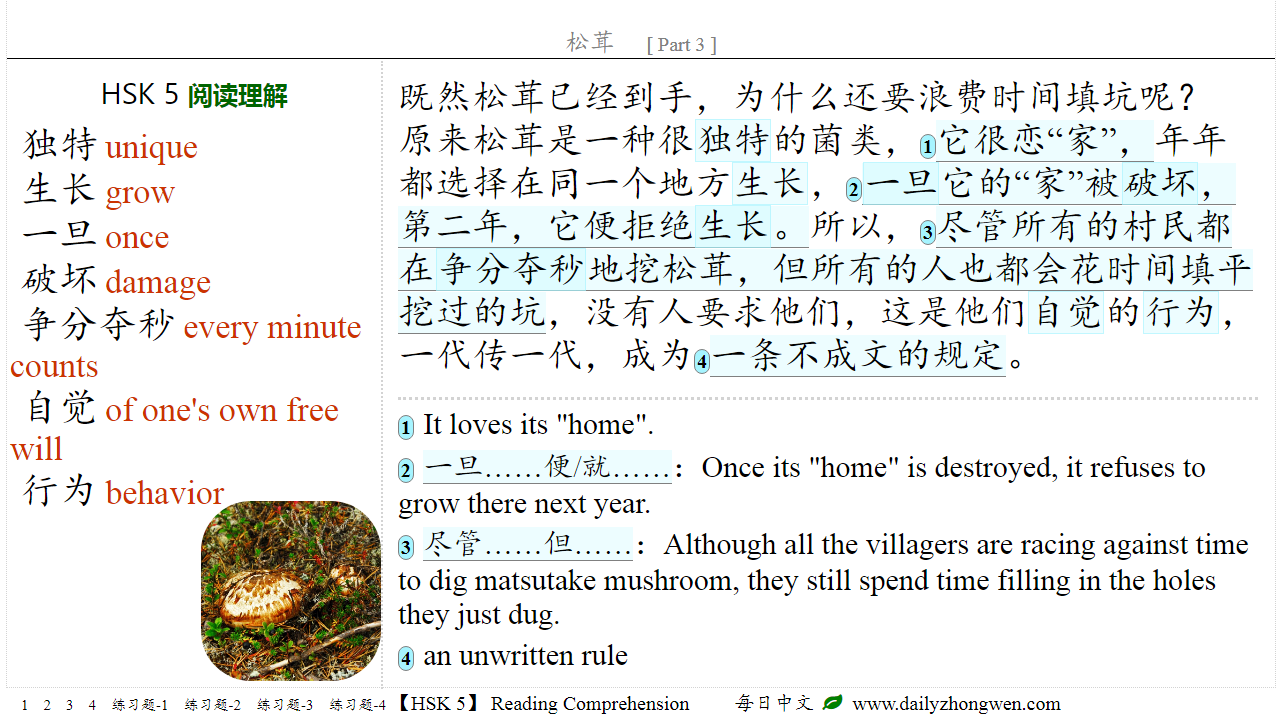 每日中文 Daily Zhongwen: No. 14 松茸 【HSK Level 5】 Reading Comprehension