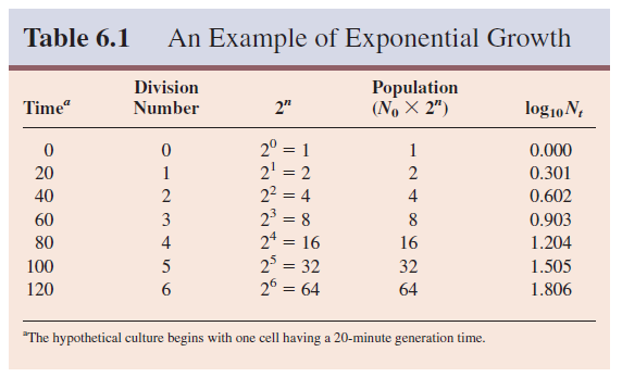 Microbiology Notes: Microbial Growth : Bacterial Growth Curve