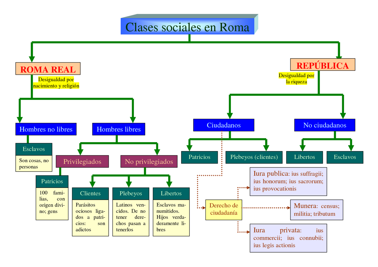 Vivamus: Las clases sociales Vivamus: Las clases sociales
