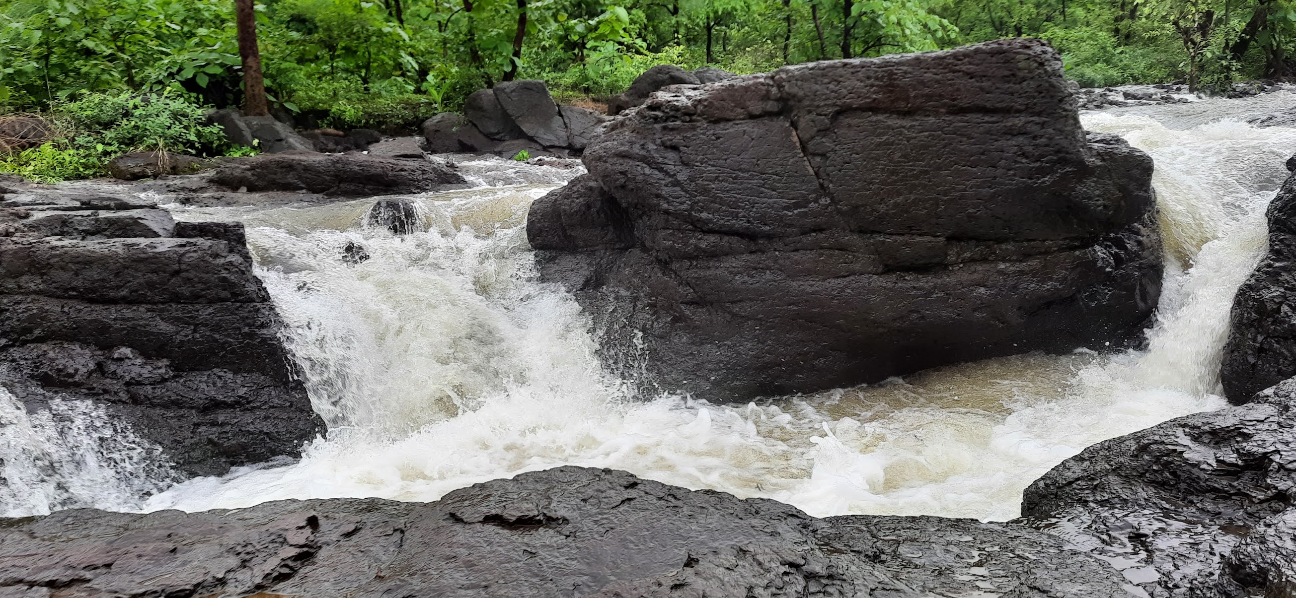 Sharad Pandhare's Educational Blog: Incredible Nature