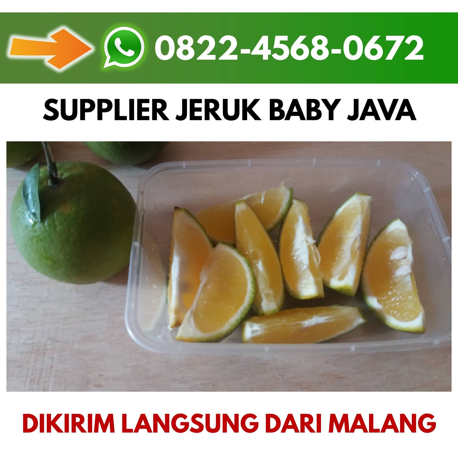 Supplier Jeruk Baby Java | 0822-4568-0672