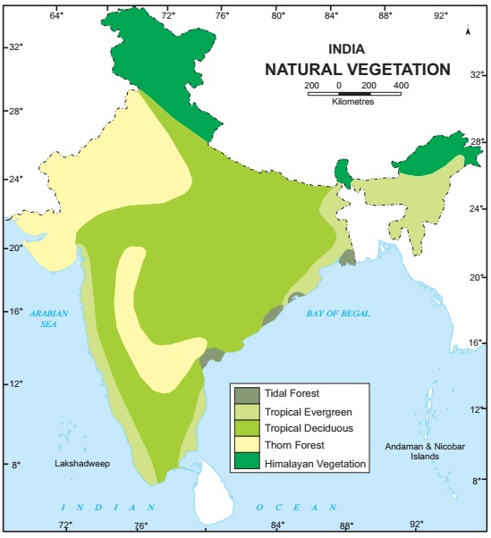 NATURAL VEGETATION OF INDIA//TYPE OF NATURAL VEGETATION