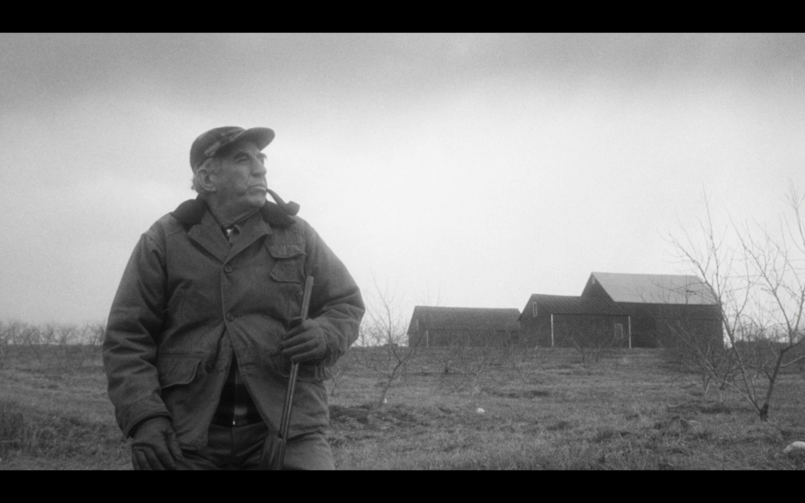 Film Noir Board: ODDS AGAINST TOMORROW (1959)