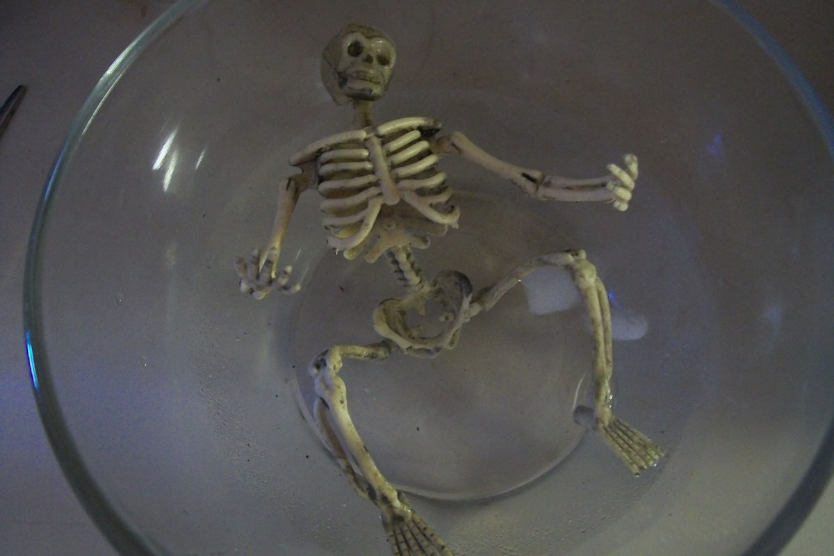 Rhissanna: Skeleton Fairies: Tutorial