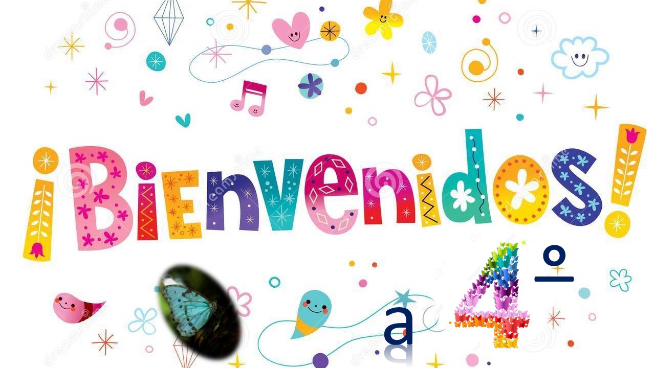 4º Grado T.M. y T.T.