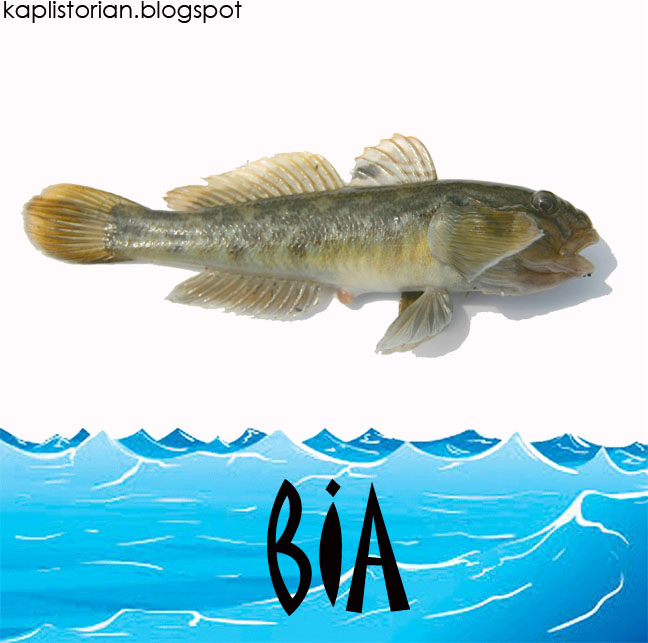 The Kapampangan Listorian: 89. 16 FISH NAMES IN KAPAMPANGAN