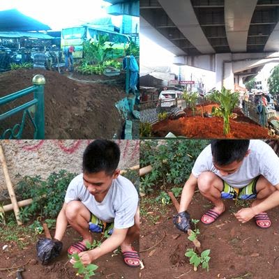 Pemanfaatan Lahan Sempit: Pemanfaatan Lahan Sempit Dengan Menanam Pohon
