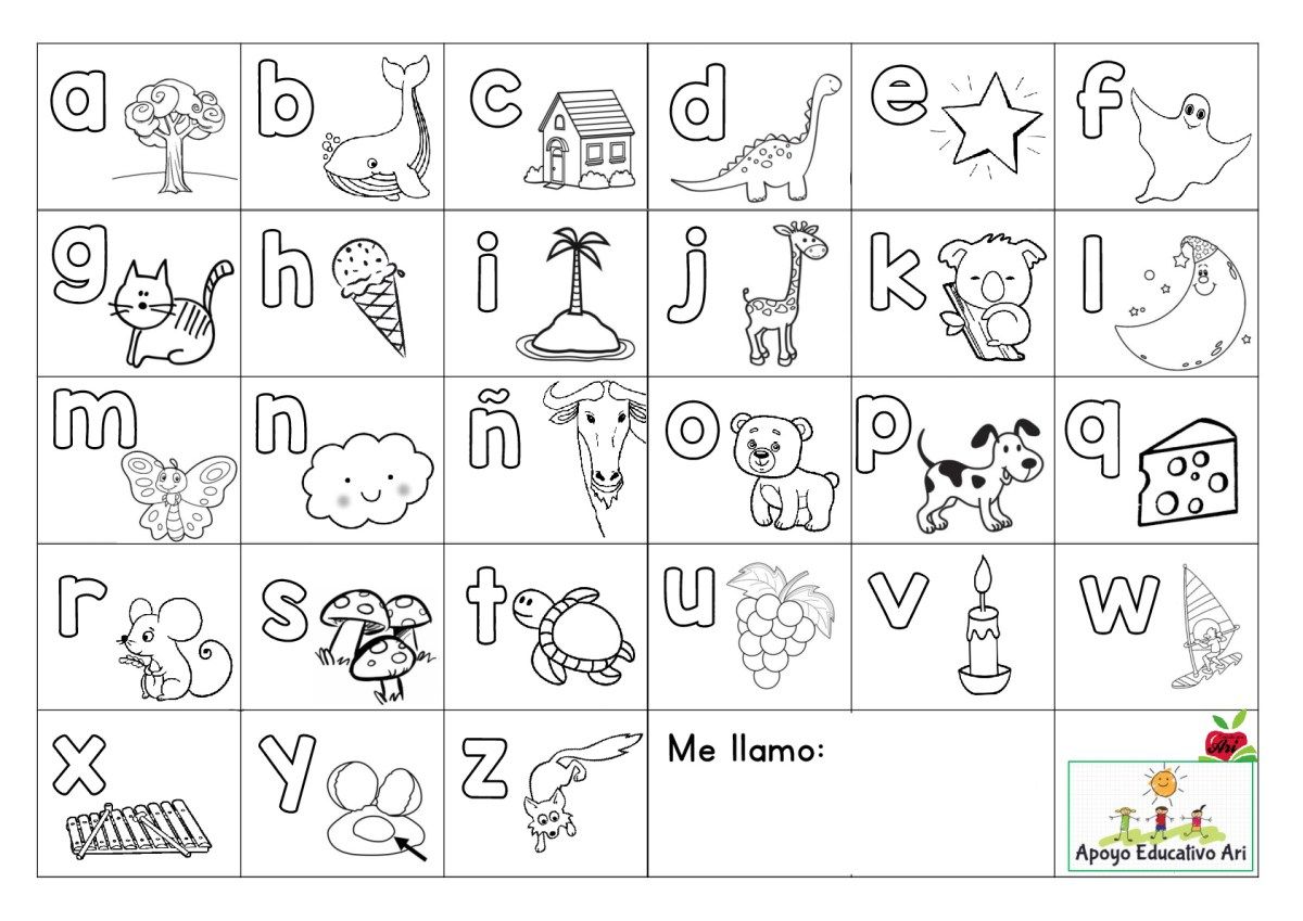 Semana del 15 al 19 de febrero de 2021 Transición