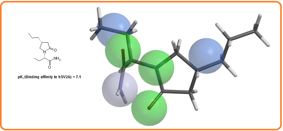 Modern Medicines: Brivaracetam | SV2A Protein Modulators| Sodium ...
