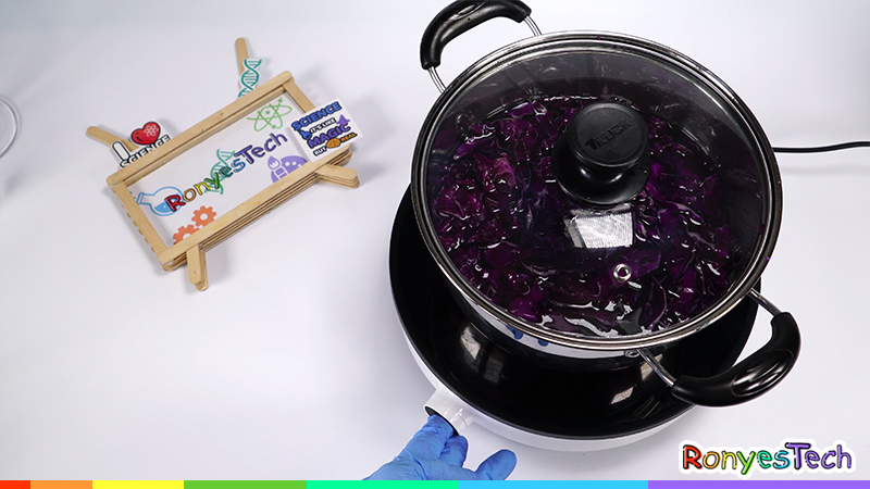 How to Make Red Cabbage PH Indicator? - Science Experiments for Kids ...