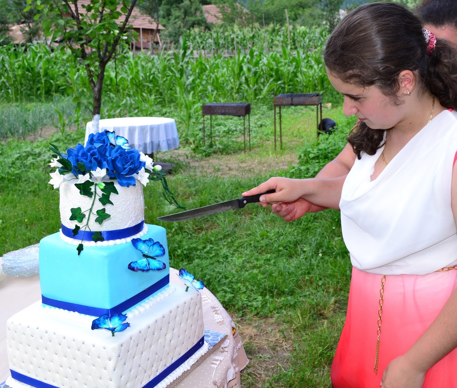 Bucataria Alynusei: Tort patrat cu trandafiri albastri