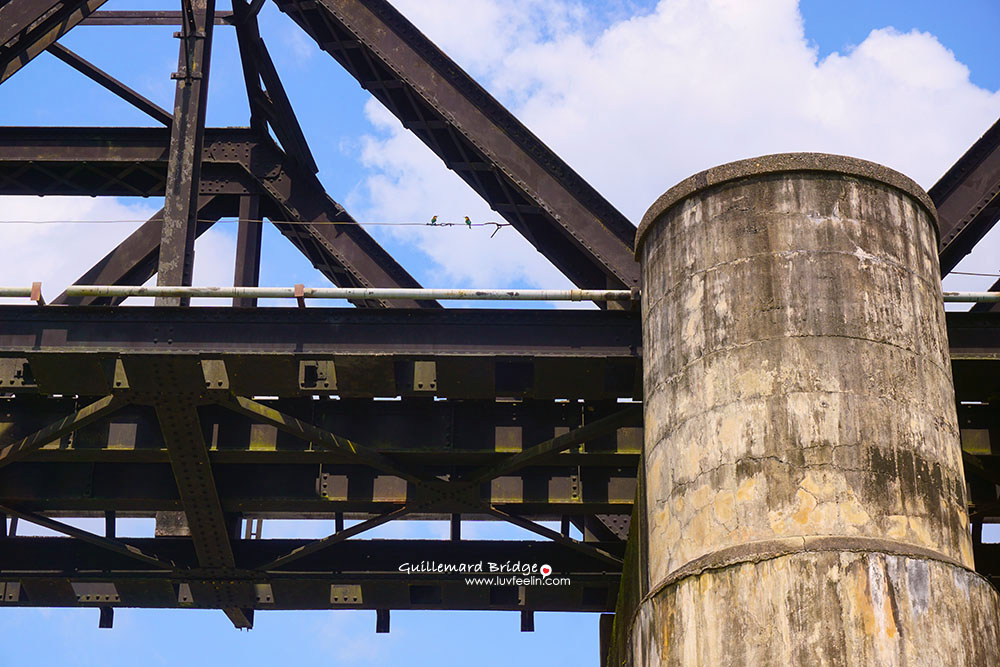 Guillemard Bridge @ Tanah Merah 承载历史记忆 大马最长【吉尔玛铁道桥】 - 乐飞翎 ♥ LUVFEELIN