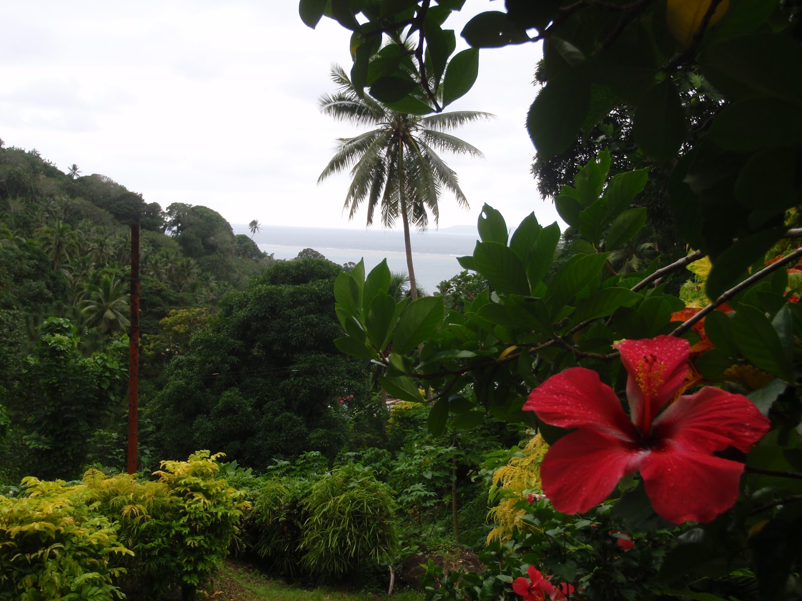 SOUTHERN CROSS SOJOURN: Levuka, Fiji