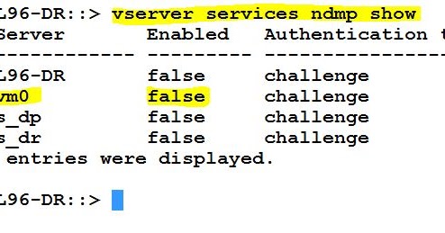 Remote Infrastructure Management: NetBackup 8.1.2 NDMP Backup ...