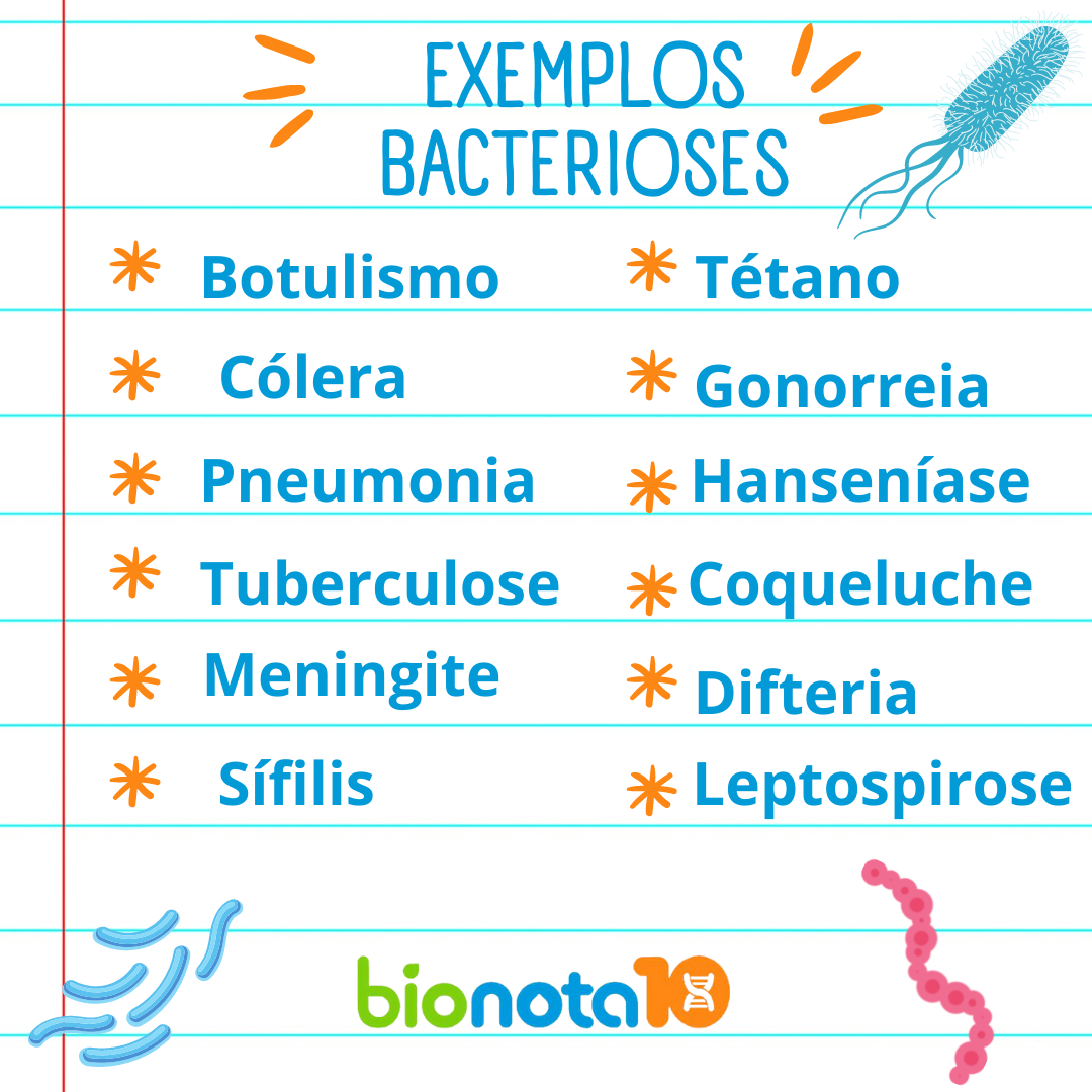 Resumo: Bacterioses | Bio Nota 10