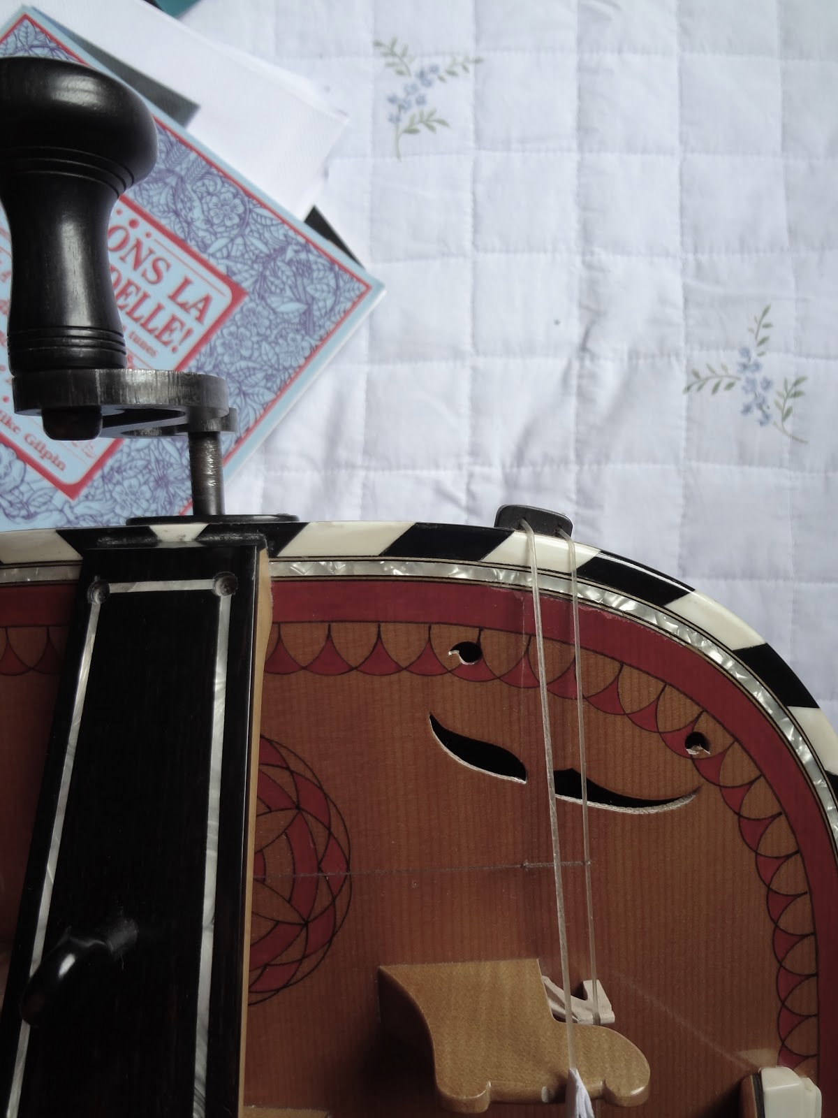 A Viela de Roda no Brasil: Além da Roda - A Viela e Suas Partes