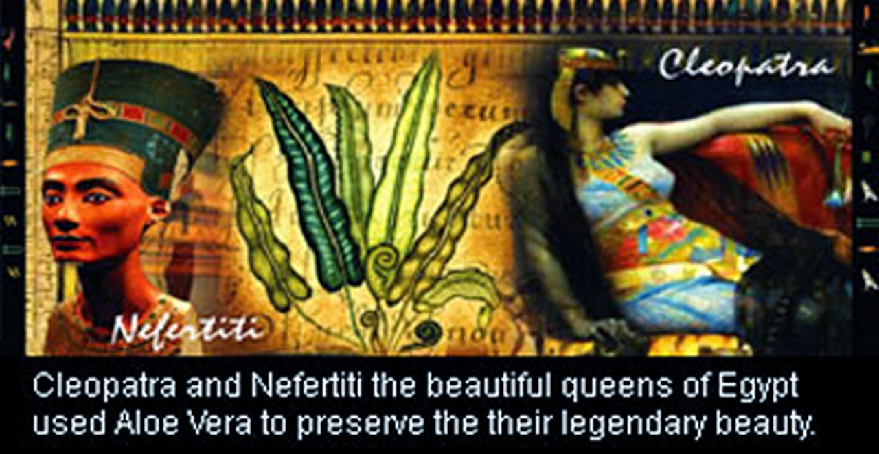 AfroChops : Aloe Vera Gel's Facts / Benefits