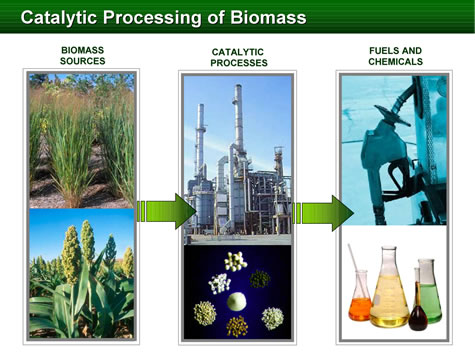 Biomasa | ENERGIA EOLICA Y AEROGENERADORES