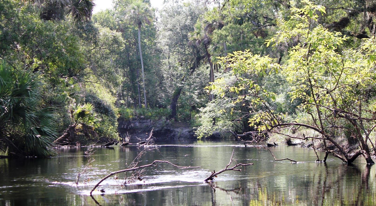 Views From Our Kayak: Econlockhatchee River