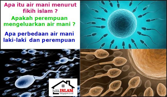Pengertian Air Mani Bagi Perempuan Menurut Fikih Islam ~ Bilik Islam