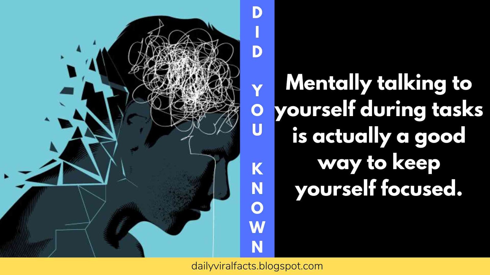 Top 40 Human Physiology Facts