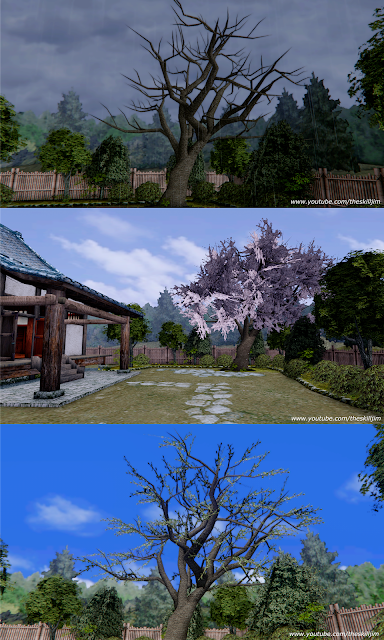 The Changing Beauty of the Hazuki Cherry Tree