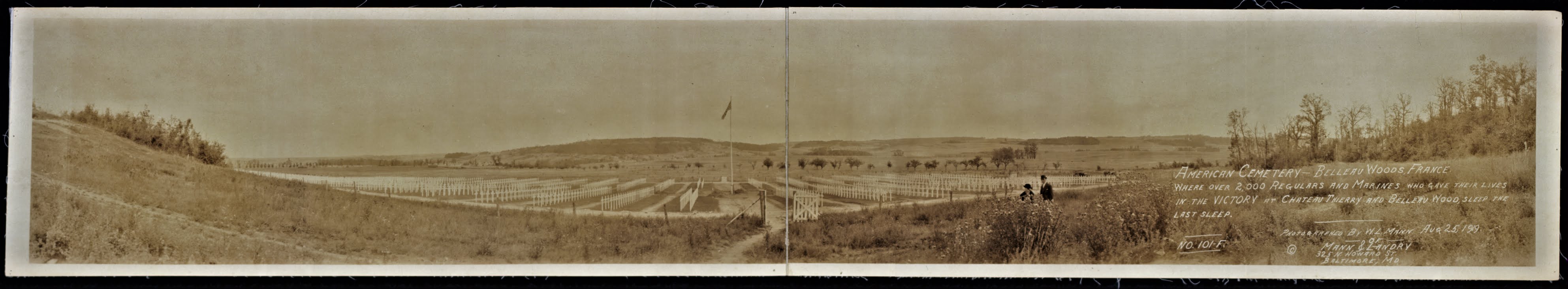 Collard Patch: Remember the Reason We Celebrate Veterans Day