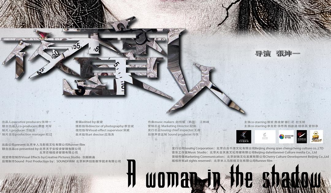 A Woman in the Shadow (2016) | BMDb