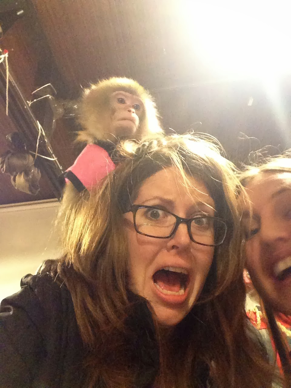 LC blog: Monkey Waiters - Kayabukiya Tavern - Utsunomiya, Japan