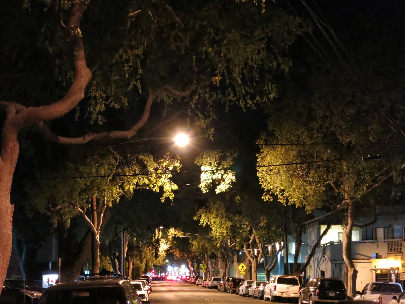 pieces of m: Tree-Lined Street At Night [PHOTOGRAPHY]