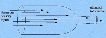 BROADBENT SELECTIVE ATTENTION THEORY