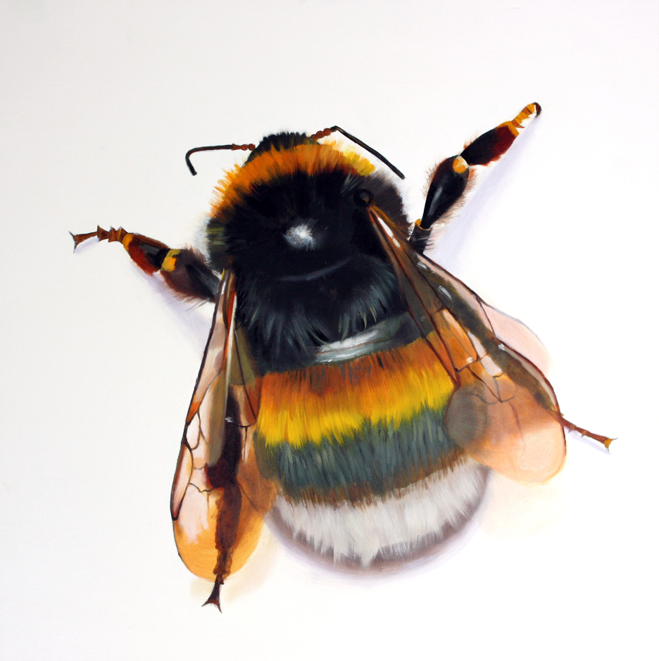 suzanne berry: THE BUMBLEBEE