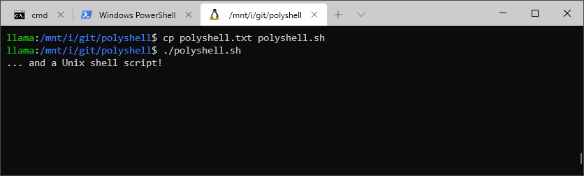 Polyshell A Bashbatchpowershell Polyglot
