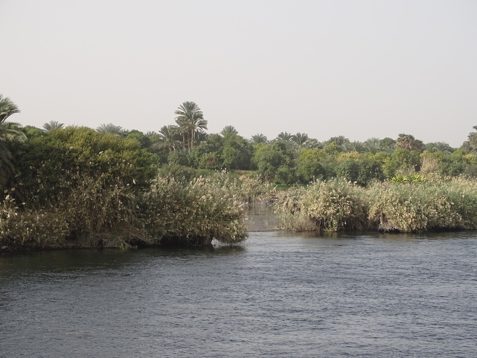 TRAS LAS HUELLAS DE HERÓDOTO. . . : EGIPTO EL DON DEL NILO.