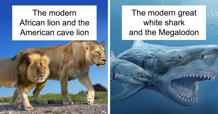 Wonderful illustrations of extinct animals and their present relatives