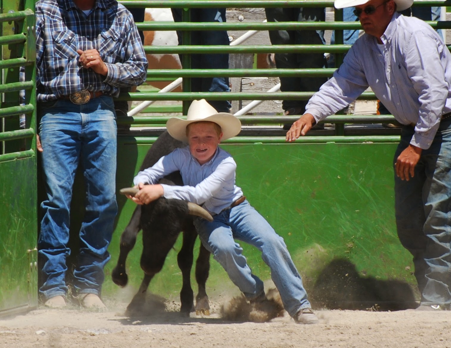 Life & Lessons from a country road