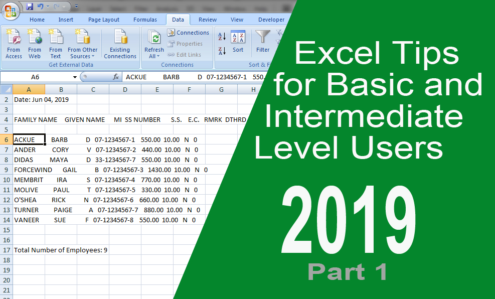 Excel Tips for Basic and Intermediate Level Users