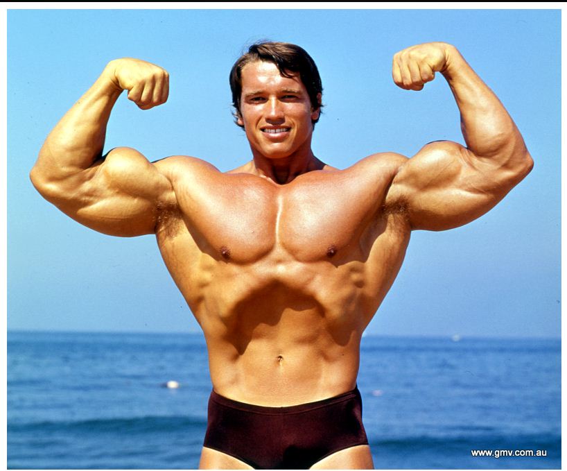 Well known builders ~ FITNESS FREAK