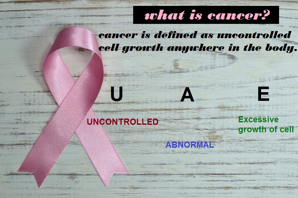 Heallegy (a corner of health & wellness)