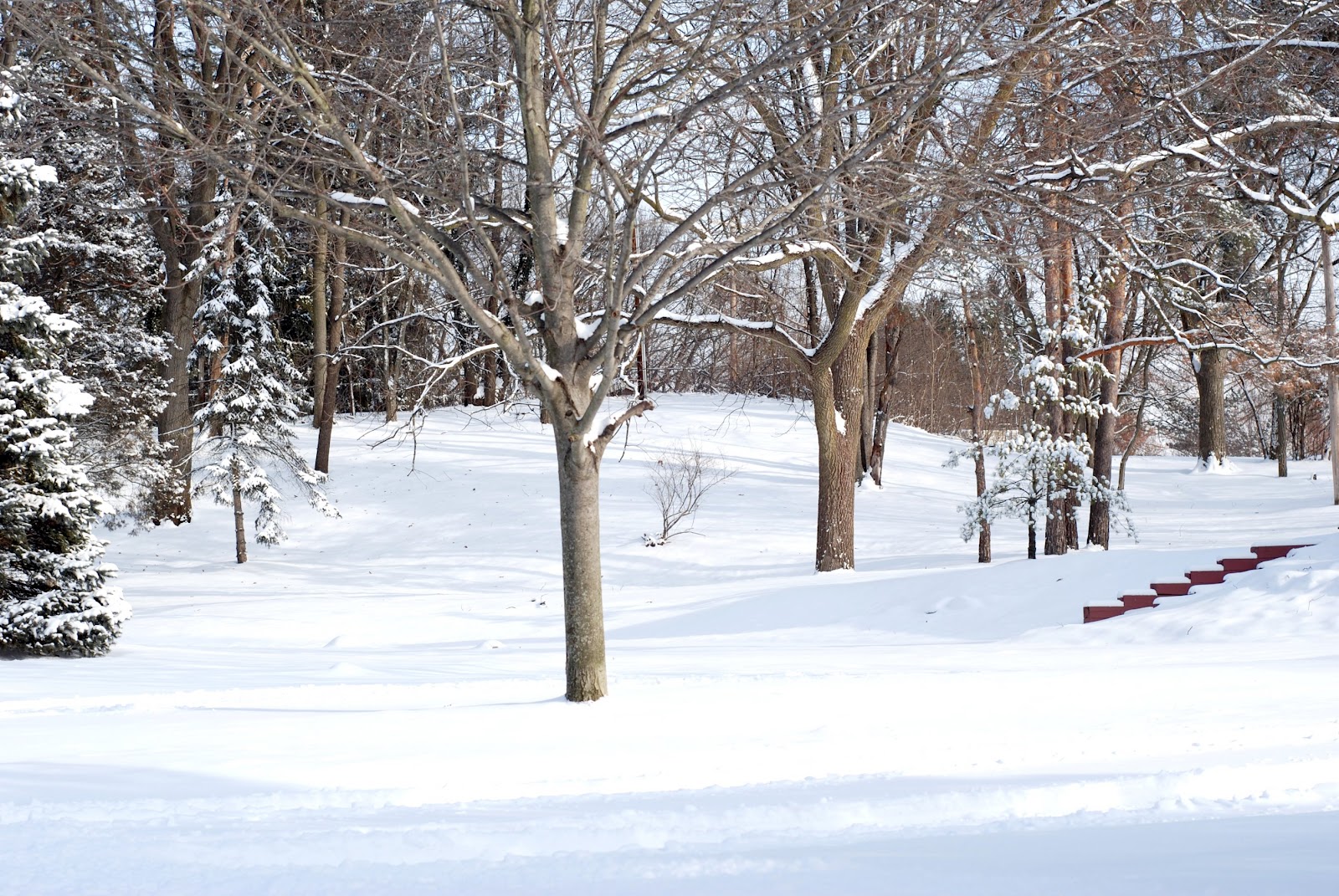 putting together this real life home post was a bit torturous because ...