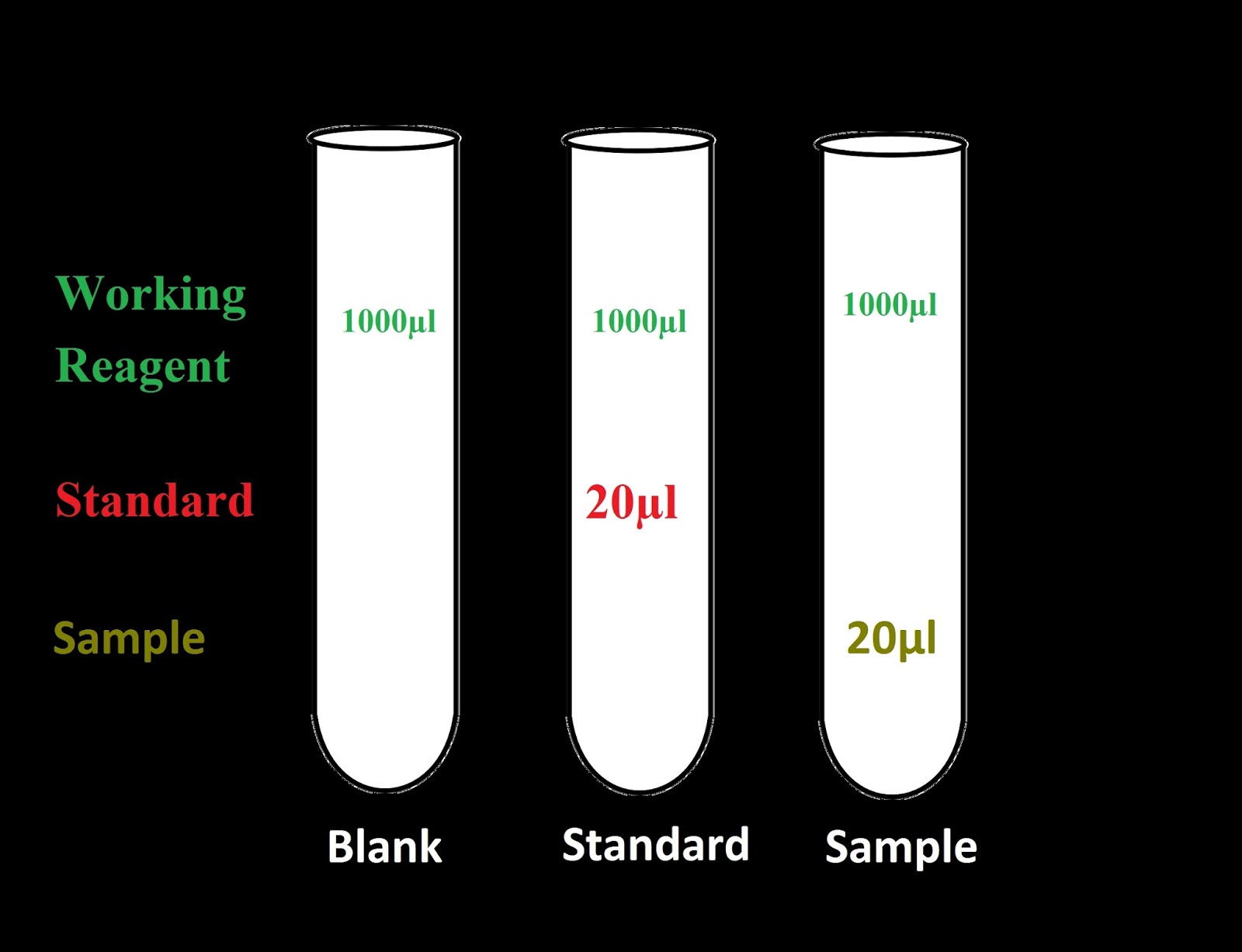 Measurement of Calcium - LabMedHub: Elevating Lab Medicine Education ...