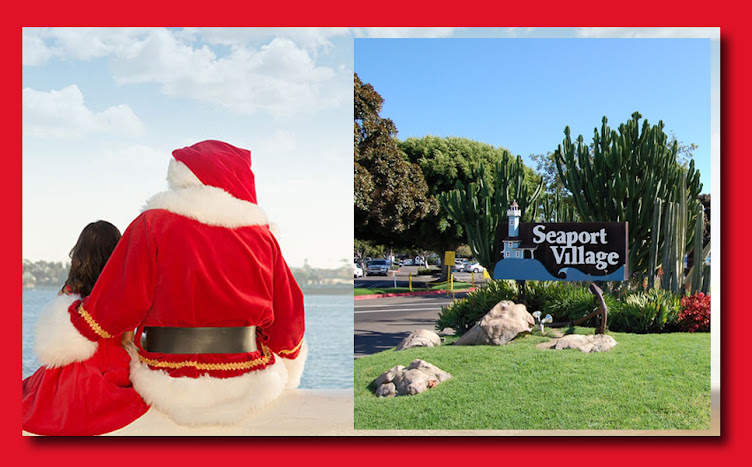 Let's have some FUN and Capture Special Moments