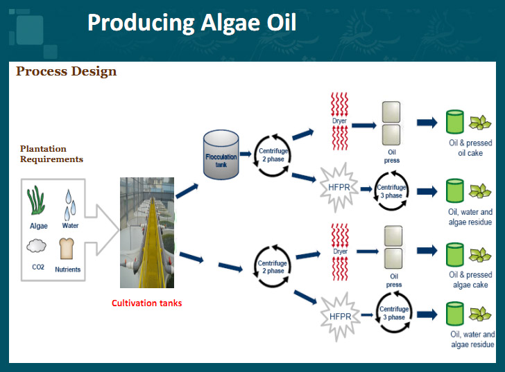 Green Global - Beyond Tomorrow World ..: Algas Electricity-based Algae ...