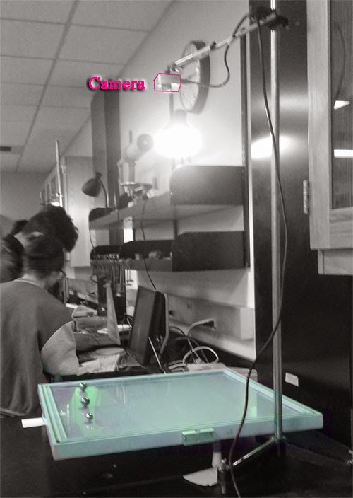 Phys4AS15 aebranks: Lab 13: Collision in Two Dimensions