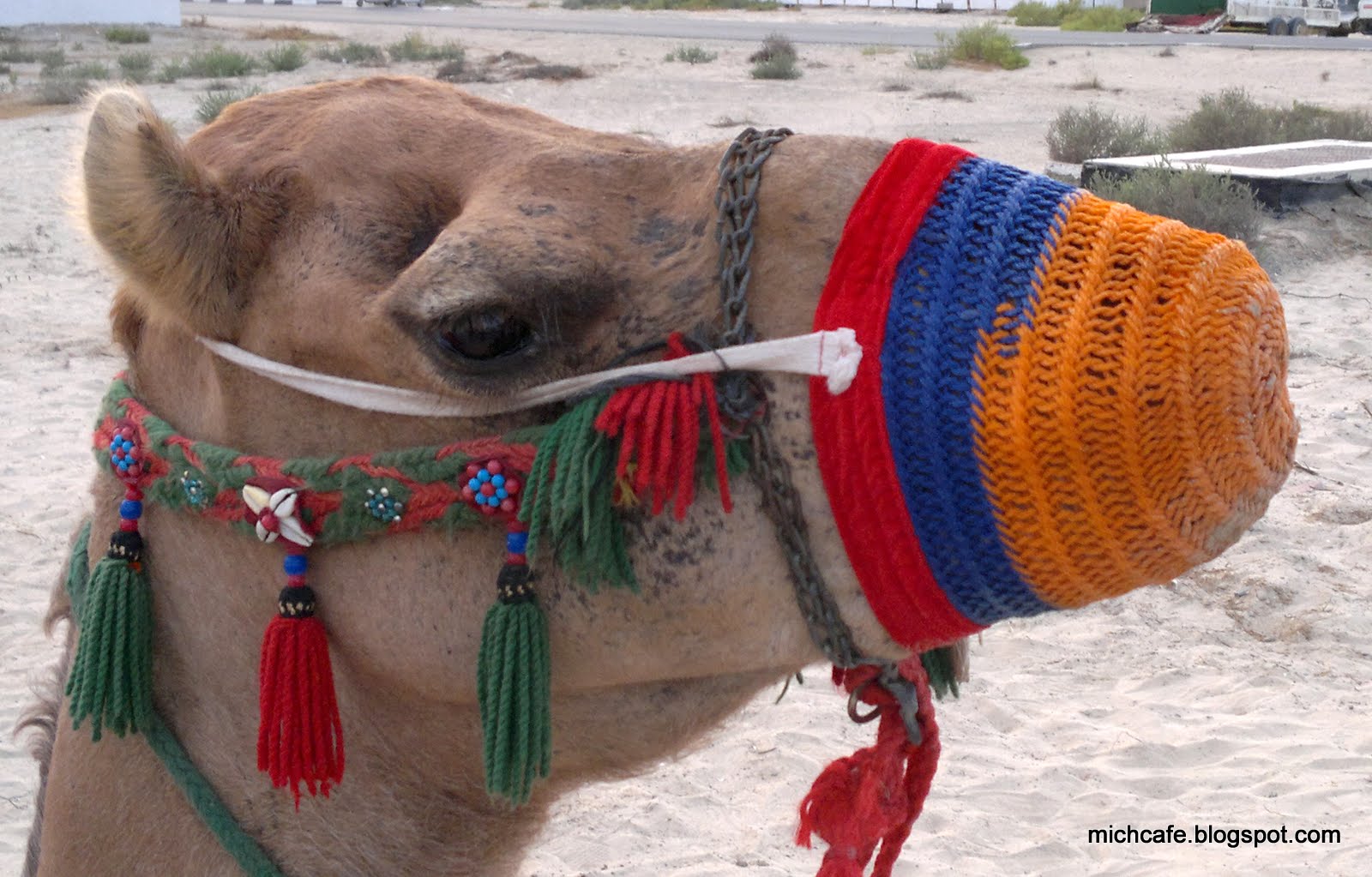 Mich Café: November 2011