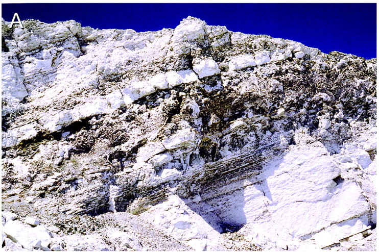 Learning Geology: Geology of Mineral Resources