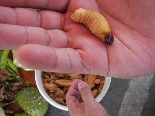 January | 2021 | Walk Memory Lane